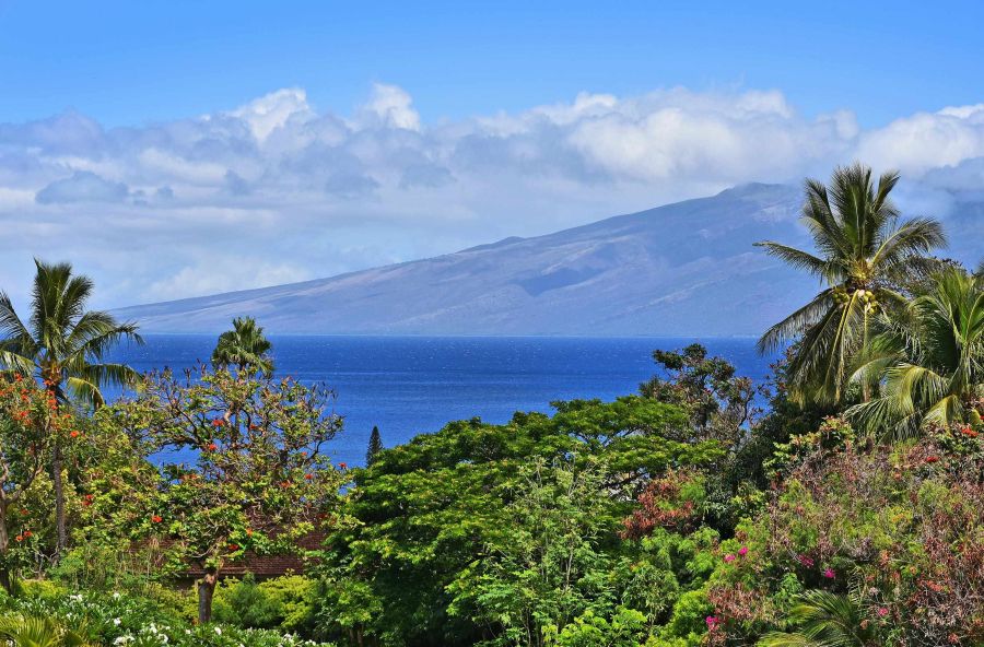 The Masters 201 - $1,750,000 - SOLD